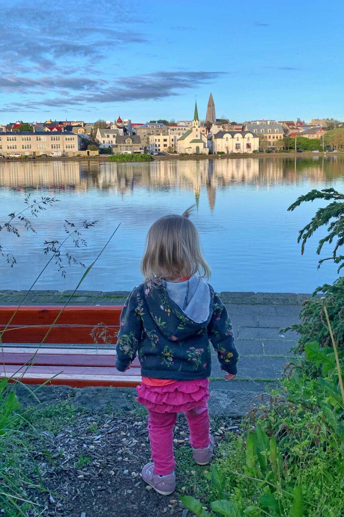 The Best Iceland Itinerary with a Toddler - Nurse to Nomad